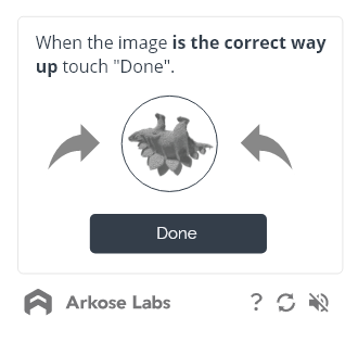 Game Changer | Arkose Labs